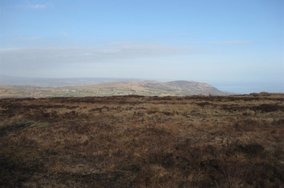 Divis Heath Trail - Hannahtown, Belfast - Walk