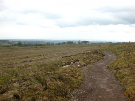Divis Lough Trail - Belfast - Walk