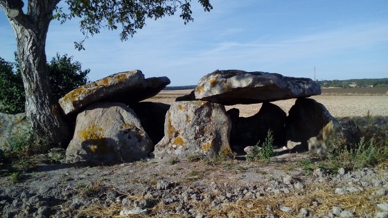 A faire : Dolmens et pierres sacrées autour des Trois-Moutiers - Randonnée