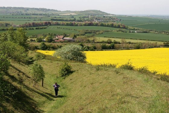 Dunstable Downs, Whipsnade and Kensworth - Walk