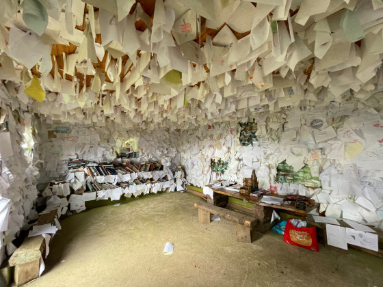 Into woodlands to discover a unique Eco-Library - Walk