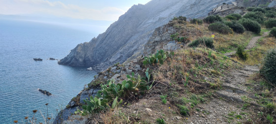 Cerbère via the French-Spanish border from Cap Cerbère - Walk