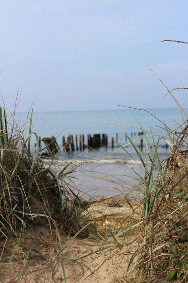 A faire : Entre Ver-sur-Mer et Asnelles : plage, dune, marais, mémorial ...