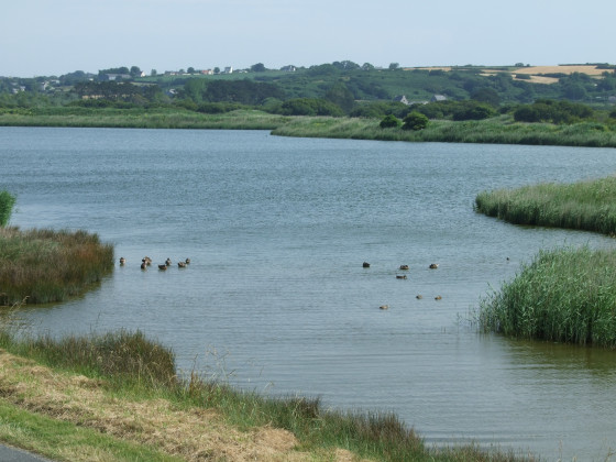 A faire : Autour de l'Étang du Curnic à Guissény - Randonnée