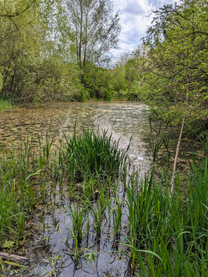 A faire : Boucle autour de la Drize et par les chemins cachés de ...