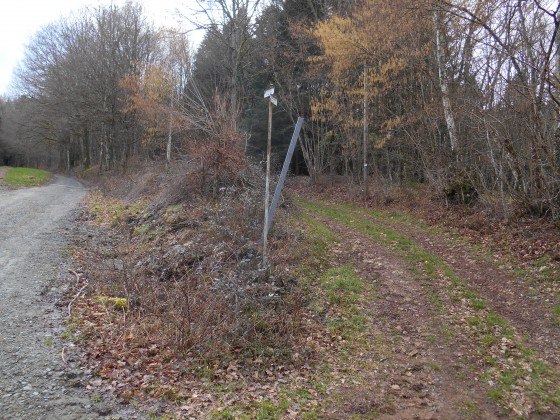 Walk in Niederbruck - Walk