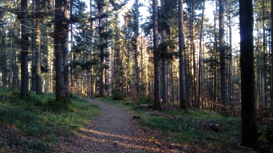 A faire : La Cascade de l'Andlau dans la Forêt du Hohwald - Randonnée