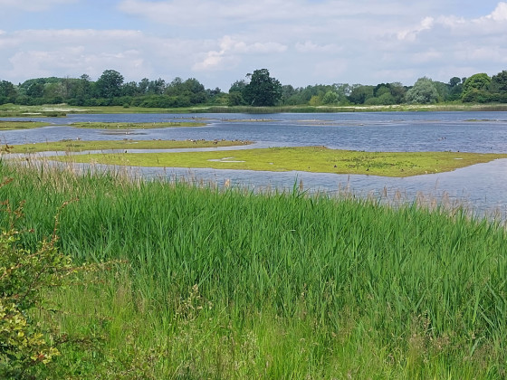 Deeping Lakes Nature Reserve - Walk