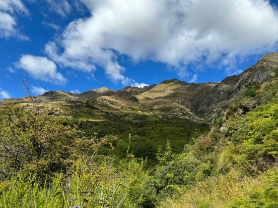 German Hill in Arrowtown - Walk