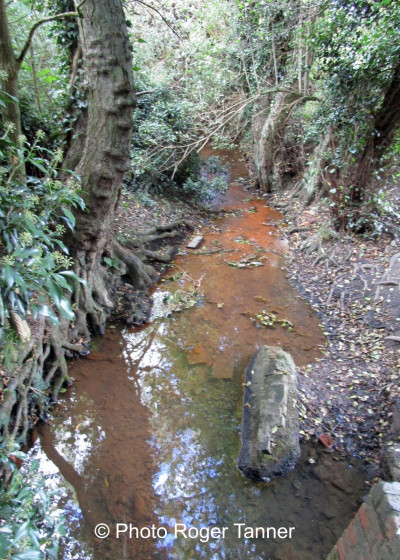 Giltbrook, Pentrich and South Wingfield Revolution - Walk