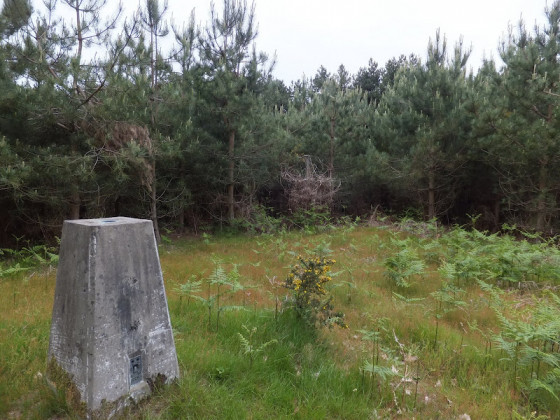 Through the Woods on Kenton and Goose Hills - Walk