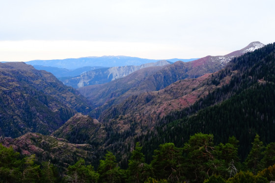Plateau Saint-Jean - Walk