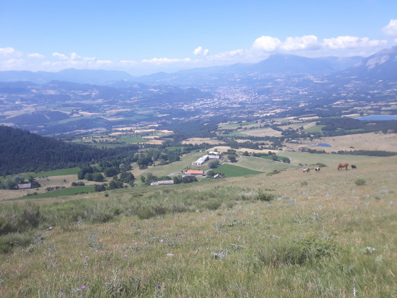 A faire : Puy de Manse en boucle au départ du Col de Manse - Randonnée