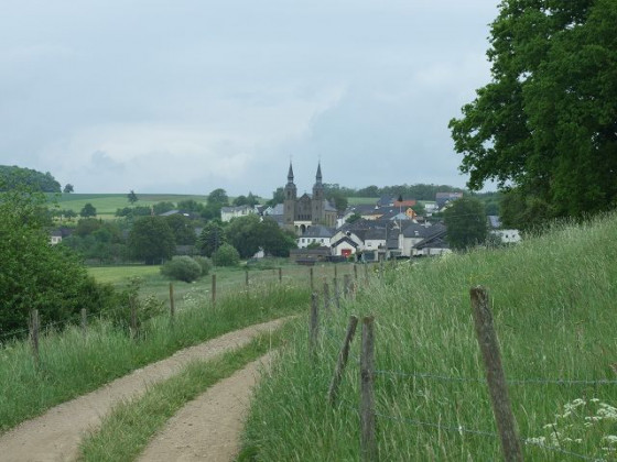 Moselsteig 2. Etappe von Palzem nach Nittel - Wanderung
