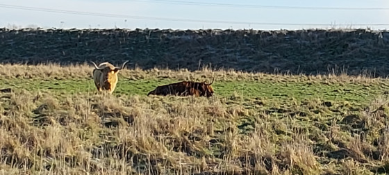 Surfleet circular via Surfleet Seas End - Walk