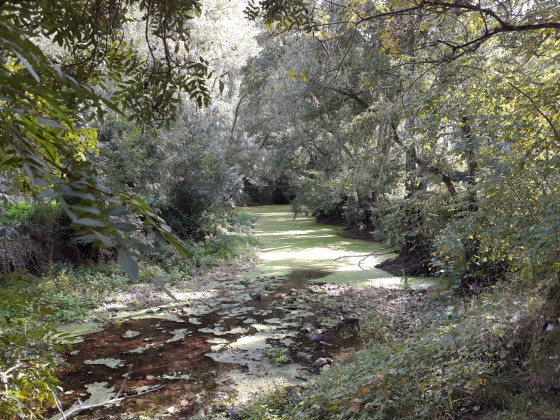 A faire : L'Autise et les dolmens de Xanton - Randonnée