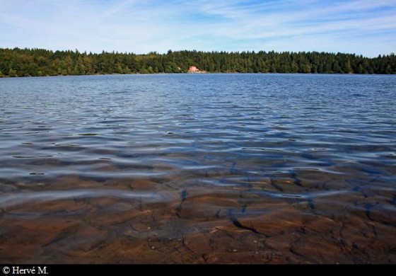 A faire : Le sentier du pourtour du Lac du Bouchet - Randonnée