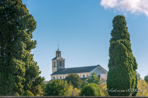 A faire : Autour de Chouzé-sur-Loire - Randonnée