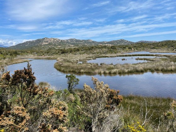 A faire : De l'Étang de Ventilegne à Pisciu Cane et retour - Randonnée