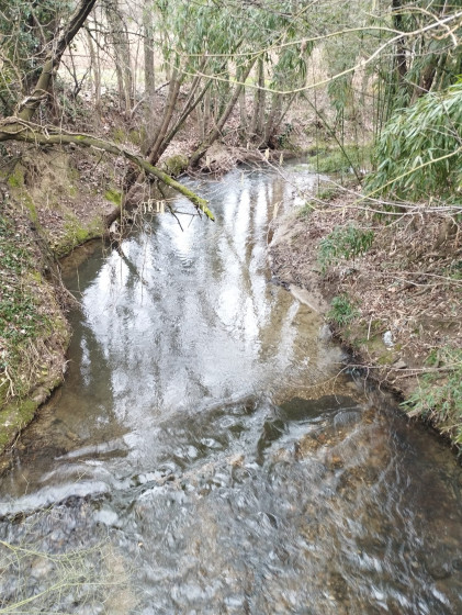 A faire : De Solaize à Ternay par Sérézin - Randonnée