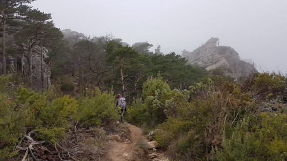 A faire : Du Parc de la Nègre au Pilon du Roi - Randonnée