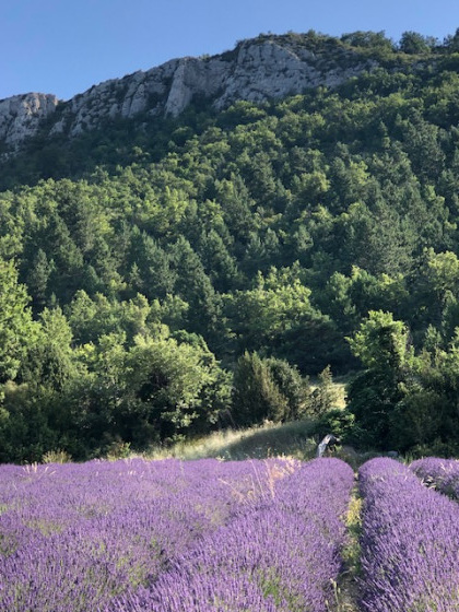 A faire : La Montagne de la Loube - Randonnée