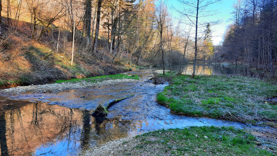 A faire : Du plateau de Pleigne au lac de Lucelle - Randonnée