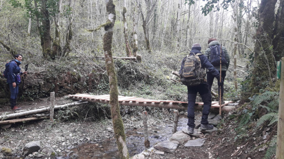 Houlette Trail - Walk