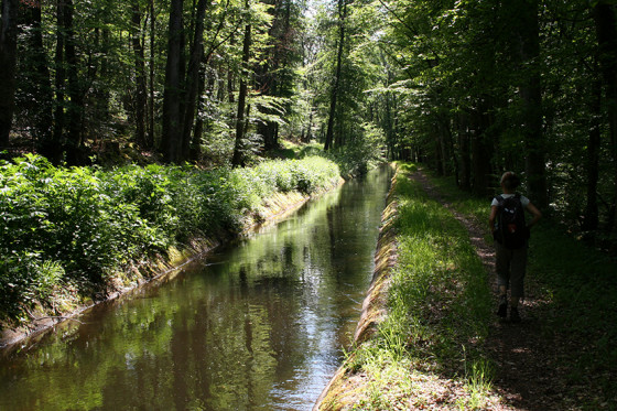 A faire : La Rigole d'Yonne et 16 écluses sur le Canal du Nivernais ...