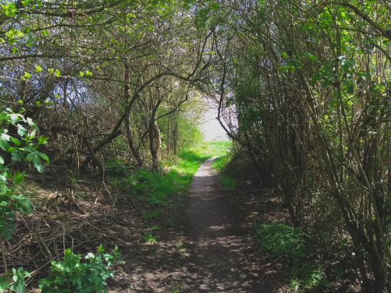 The Houchin tour - Walk