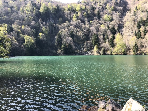 A faire : Le Col de Rimbach et le Lac des Perches - Randonnée