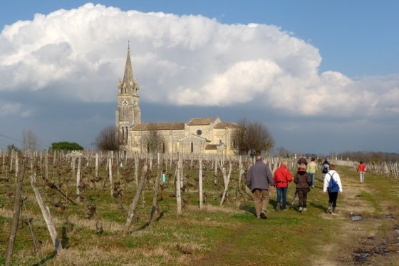 A faire : Boucle de La Lande-de-Fronsac - Randonnée