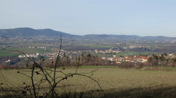 A faire : Autour du village de Trèves - Randonnée