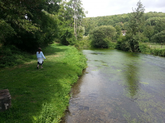 A faire : Balade de la Risle au Parc forestier - Randonnée