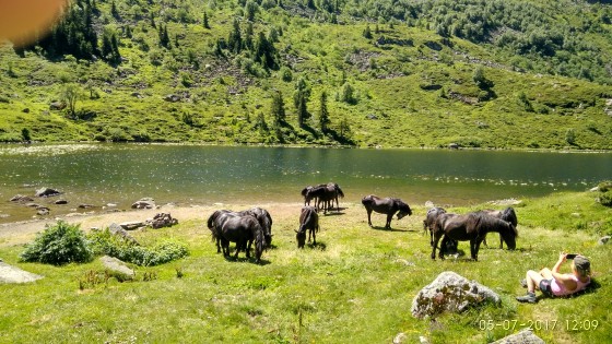 A faire : L'Étang de Comte en boucle - Randonnée