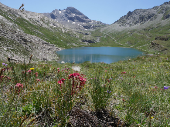 A faire : Le Lac de Foréant par le Col Vieux - Randonnée