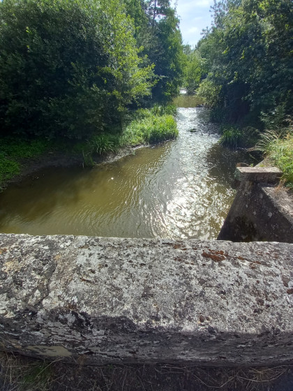 A faire : Boucle le long du Layon depuis Maligné - Randonnée