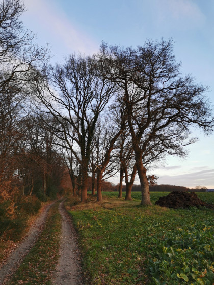 A faire : En bord de Seine et en forêt de Roumare à Saint-Pierre-de ...