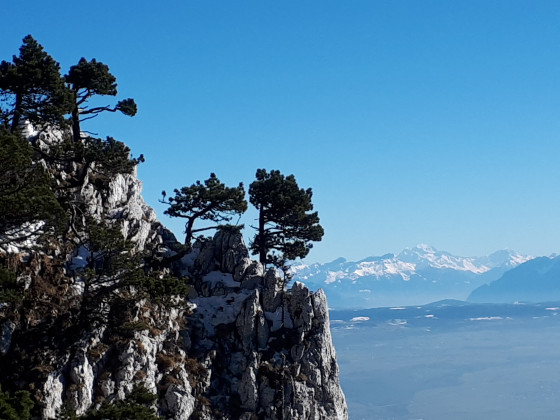 A faire : Les Aiguilles de Baulmes - Randonnée