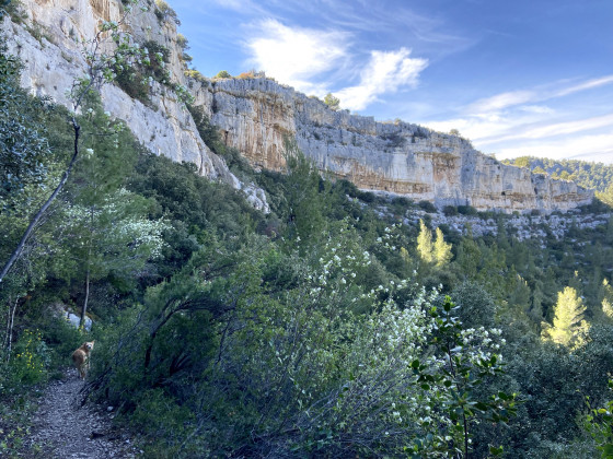 The Ravin des Infernets - Walk