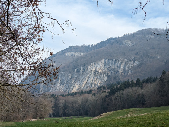 A faire : Boucle de l'Abbaye de Pomier - Randonnée