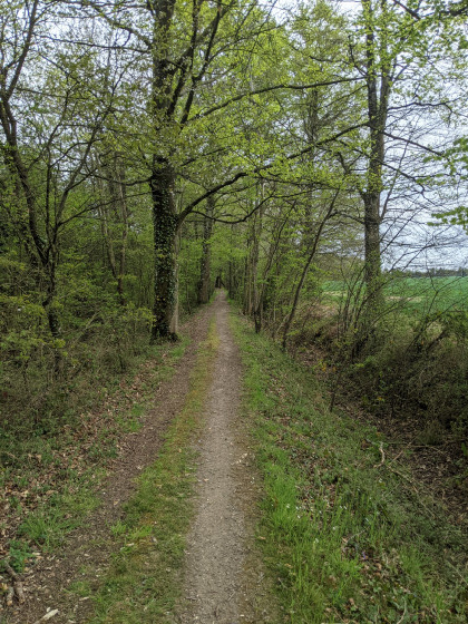 A faire : La rigole de Landehuan à Dingé - Randonnée