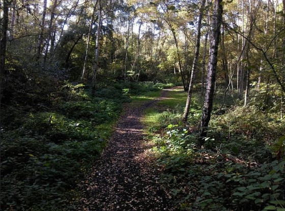 Moncheaux barren lands route - Walk