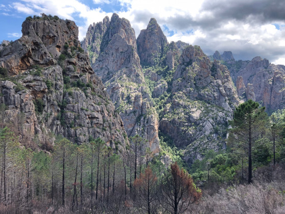 A faire : Le torrent de la Vacca - Randonnée