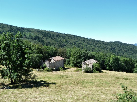A faire : Sur les traces monacales, dans la forêt de Léoncel - Randonnée