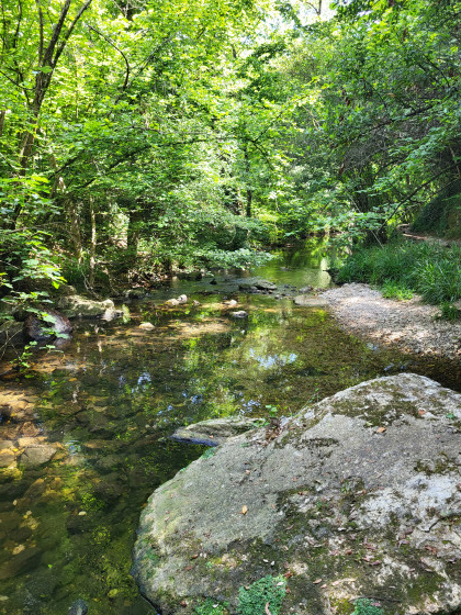 A faire : Les vallons de la Brague et du Bruguet - Randonnée