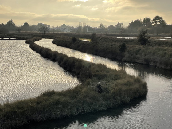 A faire : Le Hézo : entre marais et Golfe du Morbihan - Randonnée