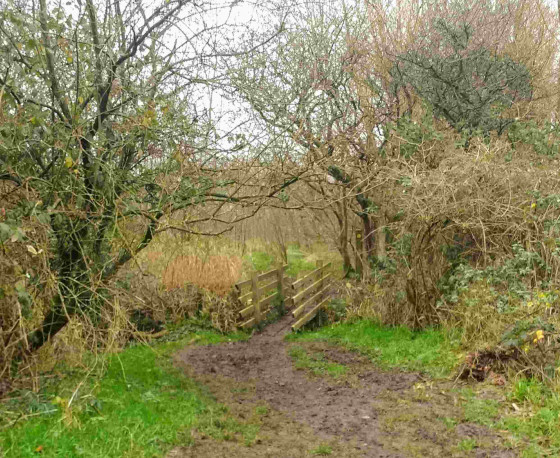 Lunt Circular via River Alt - Walk