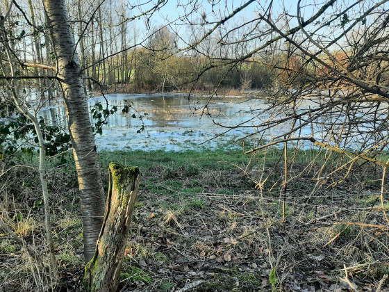 A faire : La Dendre et la Marcq au départ de Deux-Acren - Randonnée