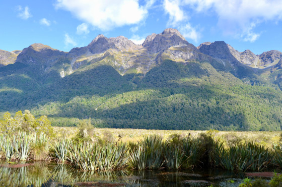 Mirror Lake, Fiordland - Walk